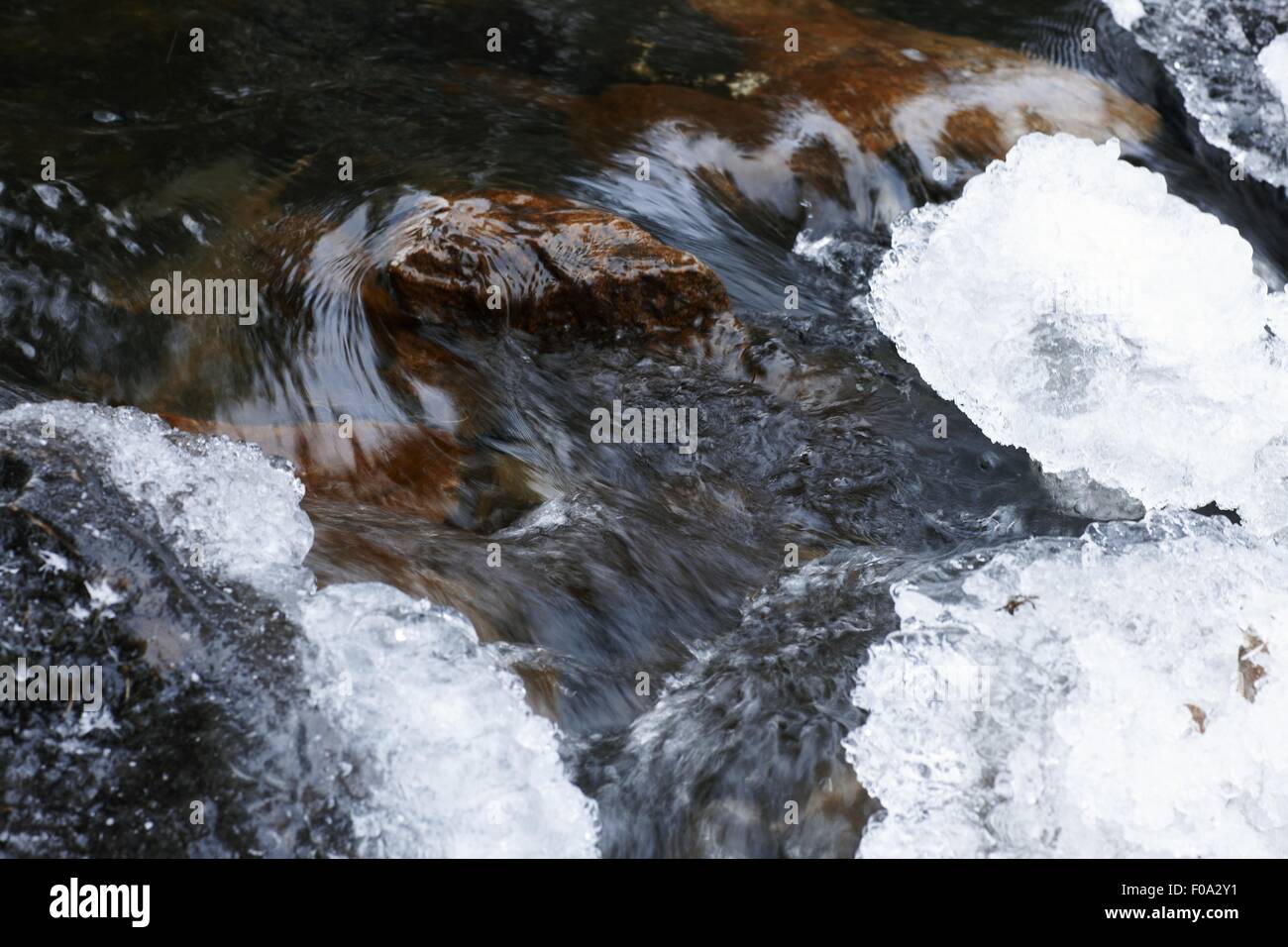 Close-up of frozen and flowing stream in Lapland, Finland Stock Photo ...