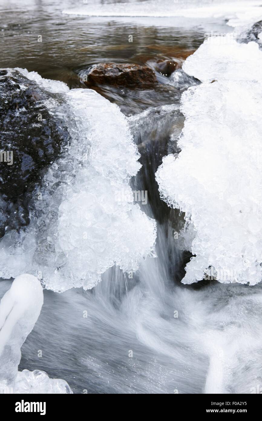 Close-up of frozen and flowing stream in Lapland, Finland Stock Photo ...