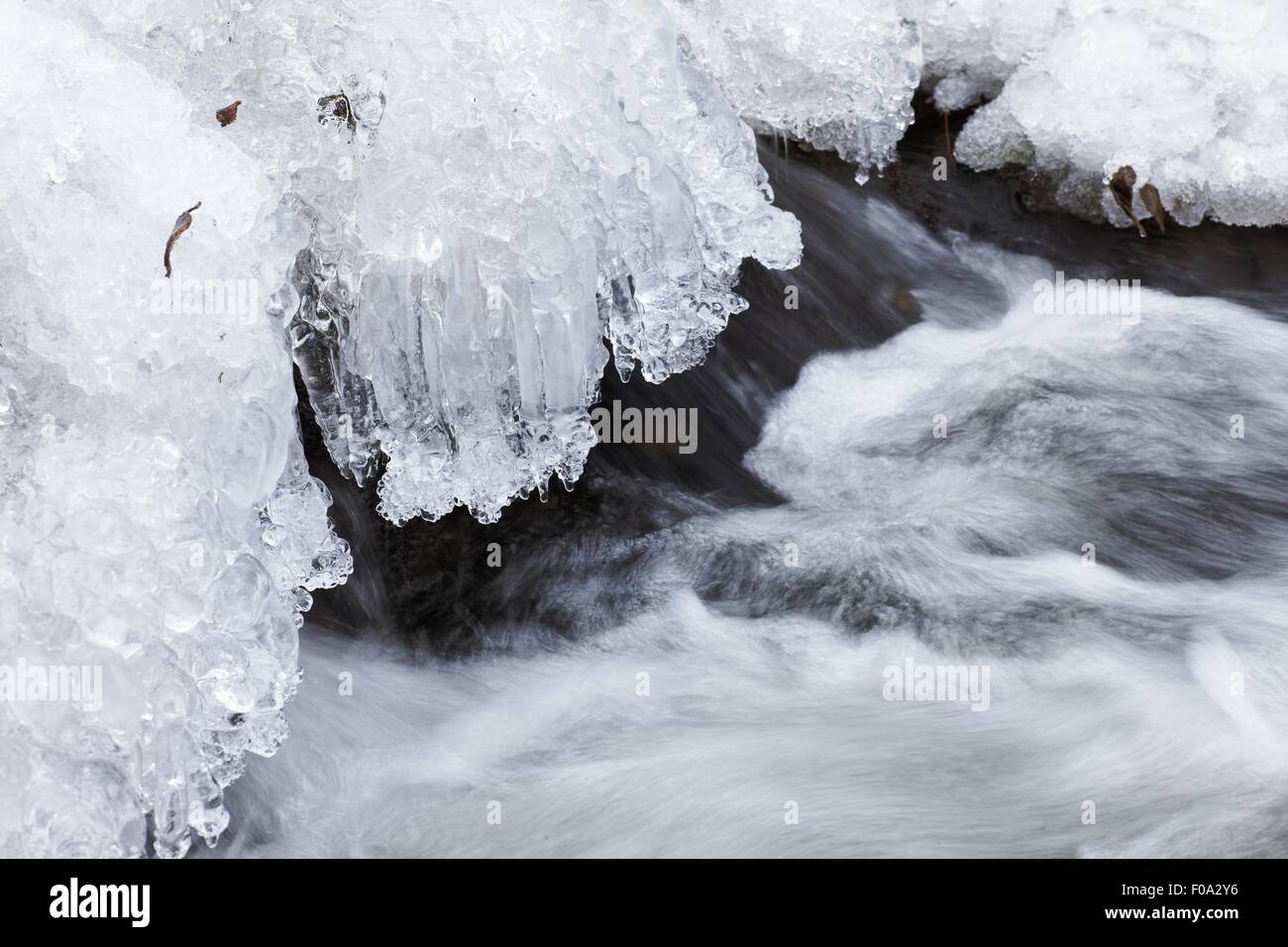 Close-up of frozen and flowing stream in Lapland, Finland Stock Photo ...