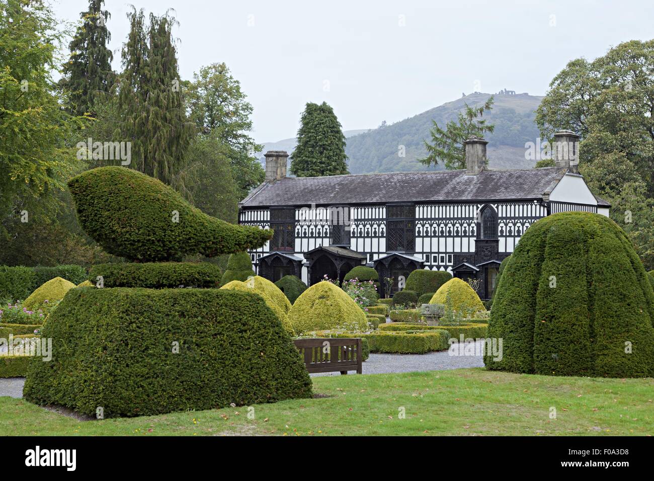 Plas newydd llangollen hi-res stock photography and images - Alamy