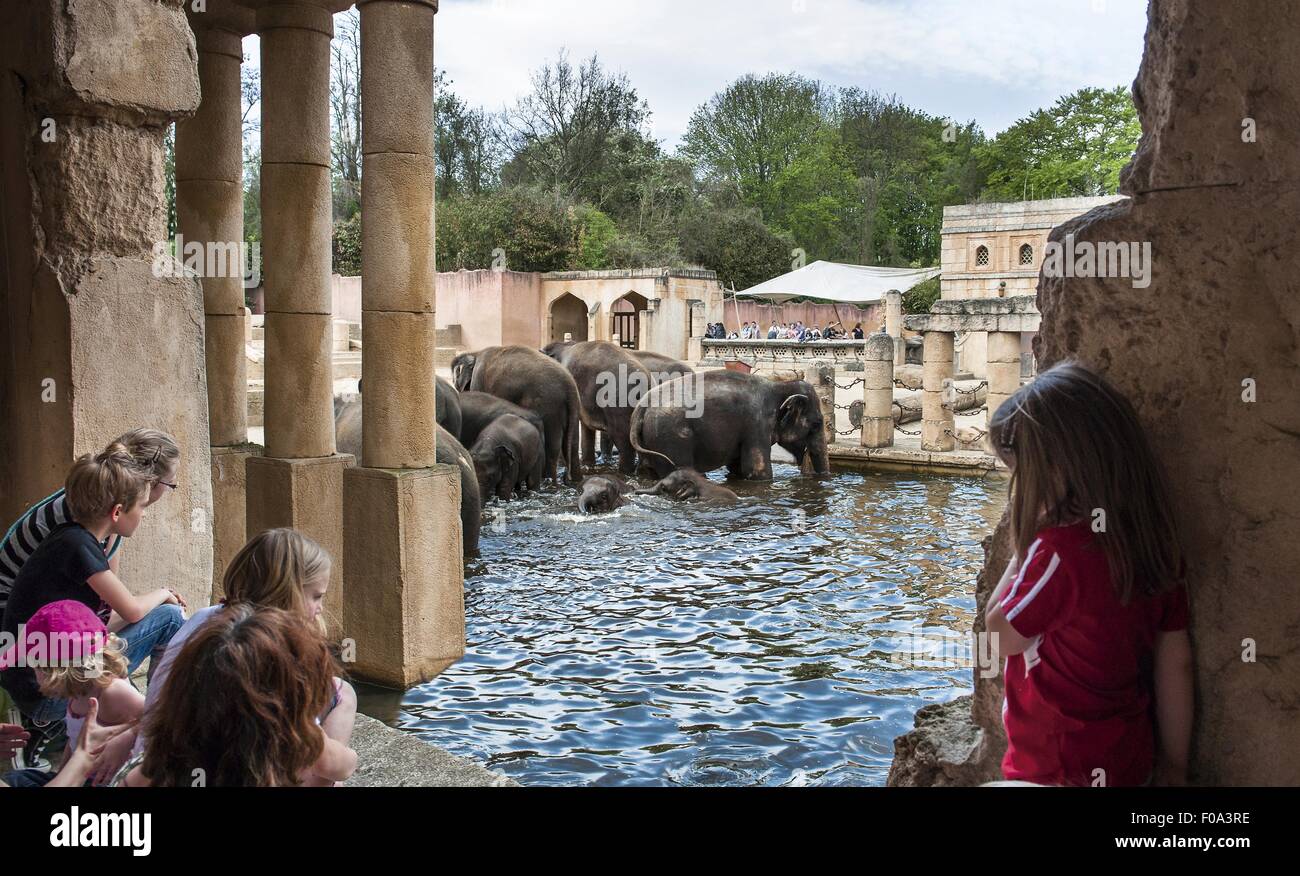 Hannover adventure zoo hi-res stock photography and images - Alamy
