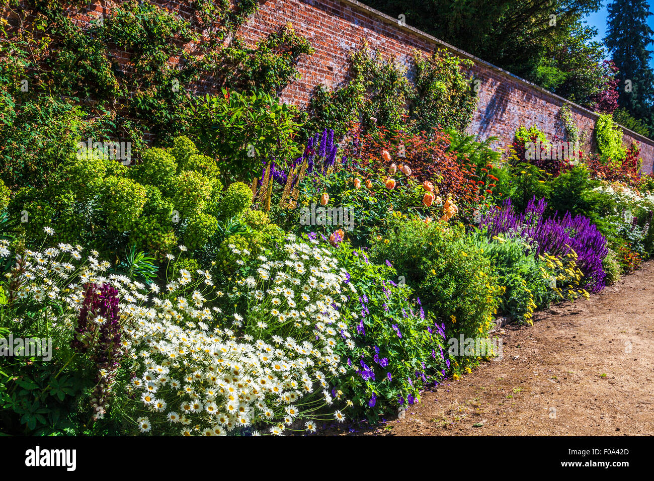 Herbaceous border in the walled garden of Bowood House in Wiltshire ...