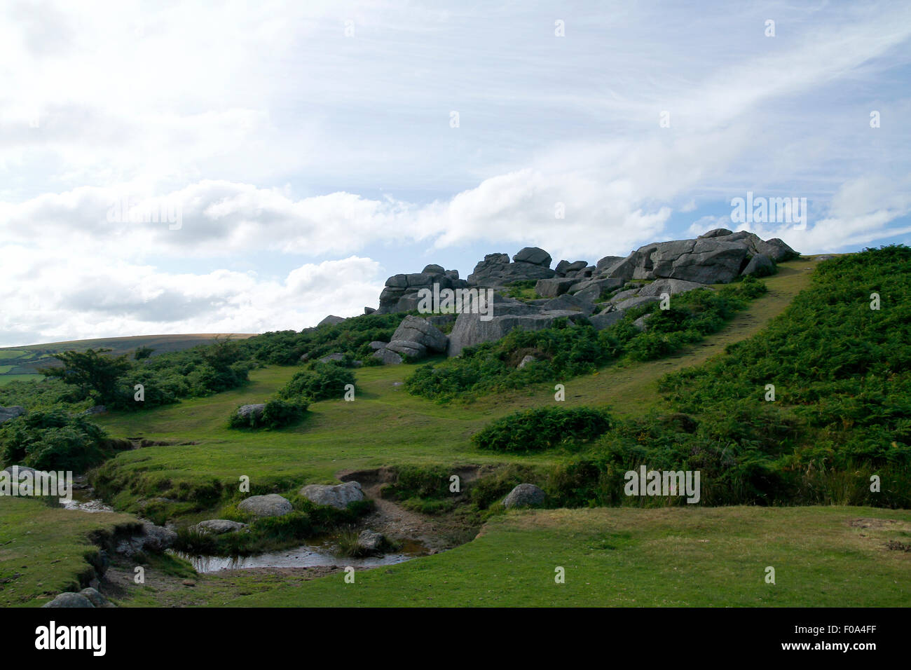 Bonehill rocks on Dartmoor in Devon with a spring running on the ground ...