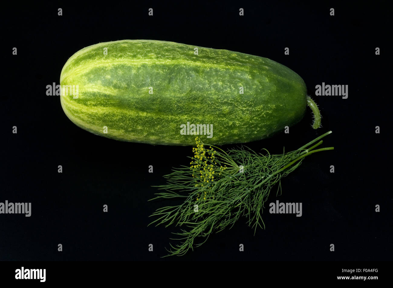 Gurken hintergrund hi-res stock photography and images - Alamy