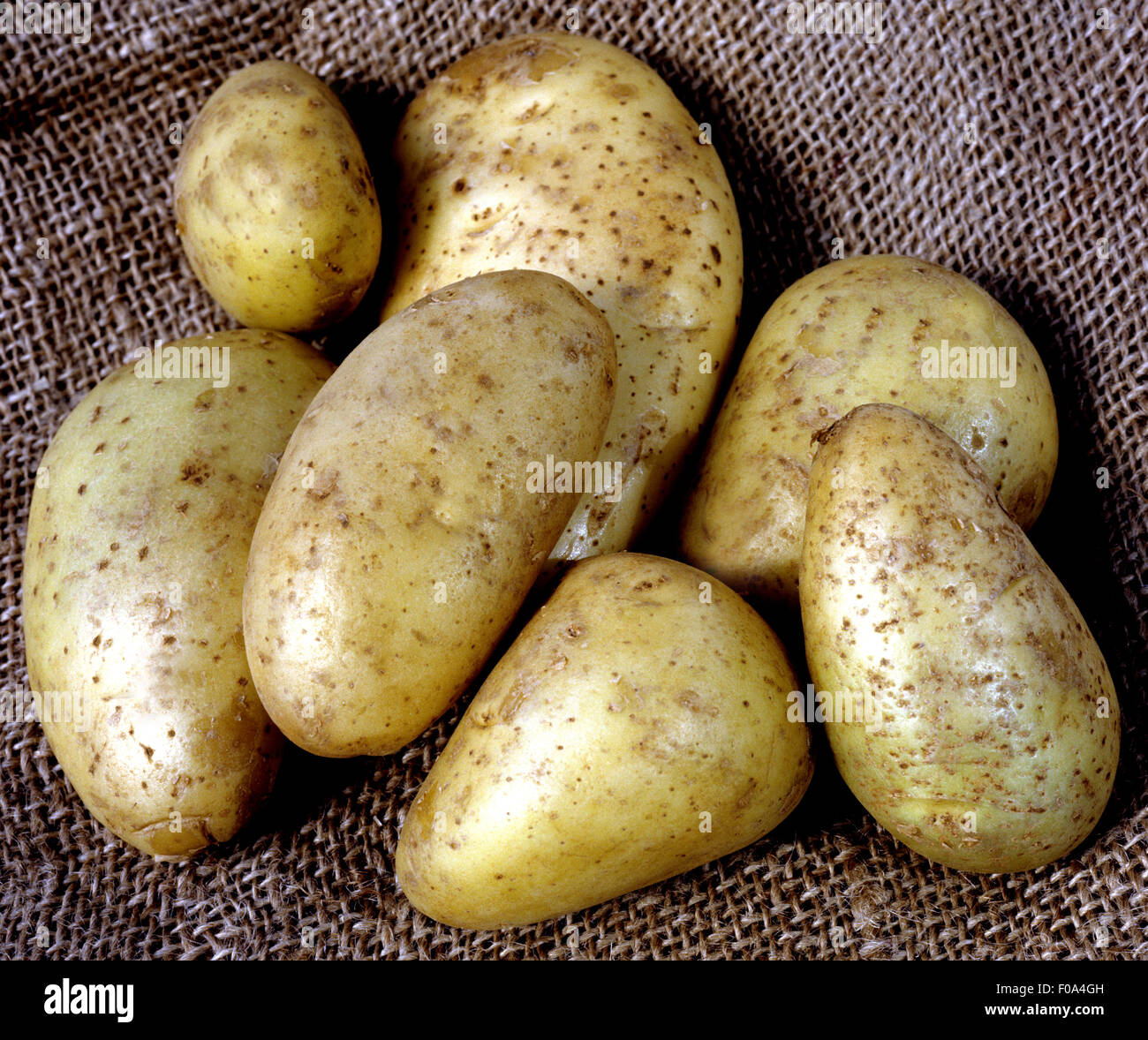 Kartoffelsorte hi-res stock photography and images - Alamy