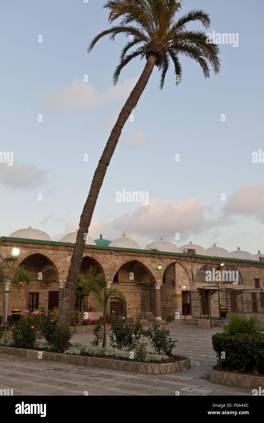 View of Al Jazzar Mosque courtyard and palm tree, Galilee, Acre, Israel ...