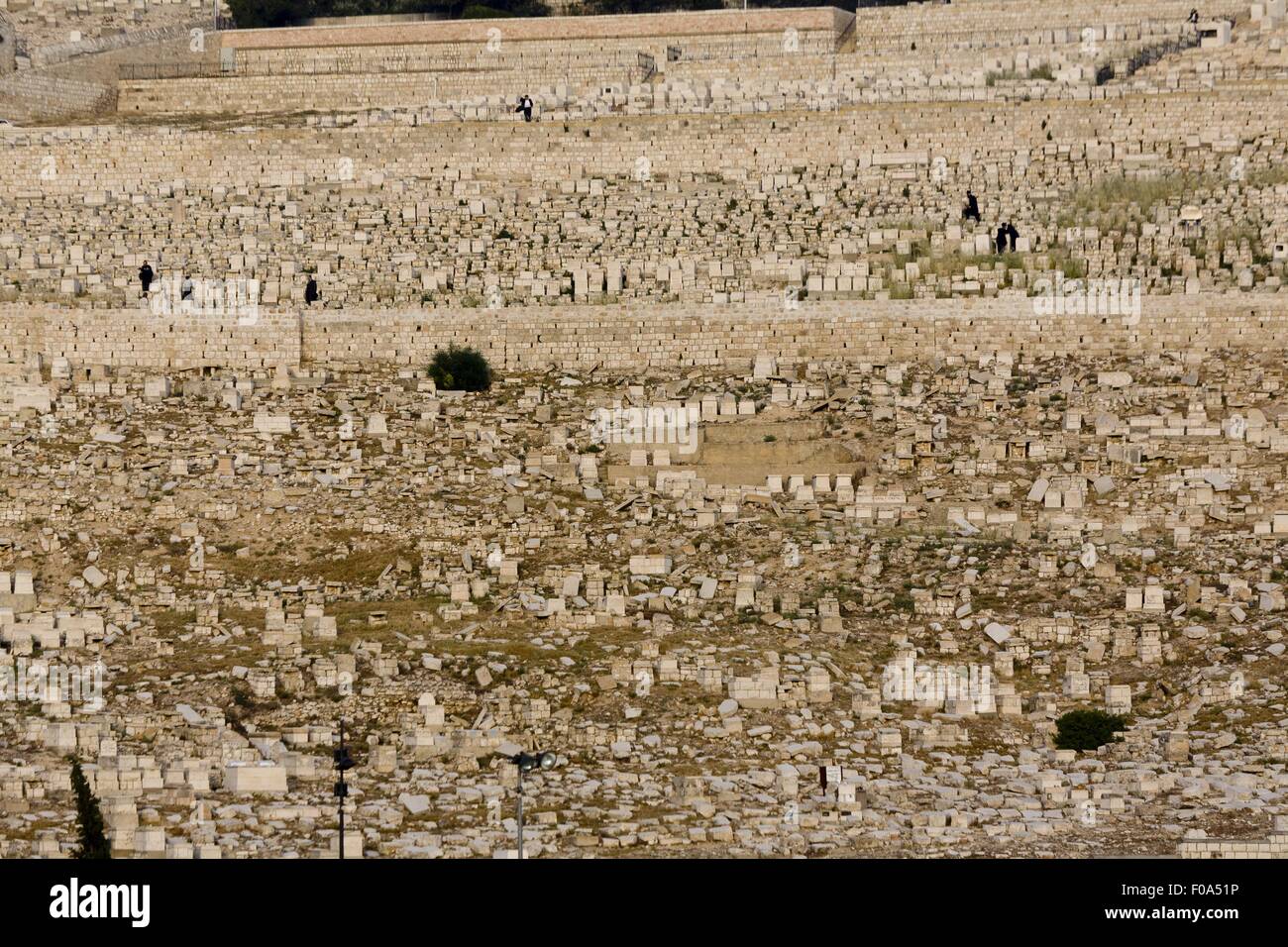 Jerusalem olberg hi-res stock photography and images - Alamy
