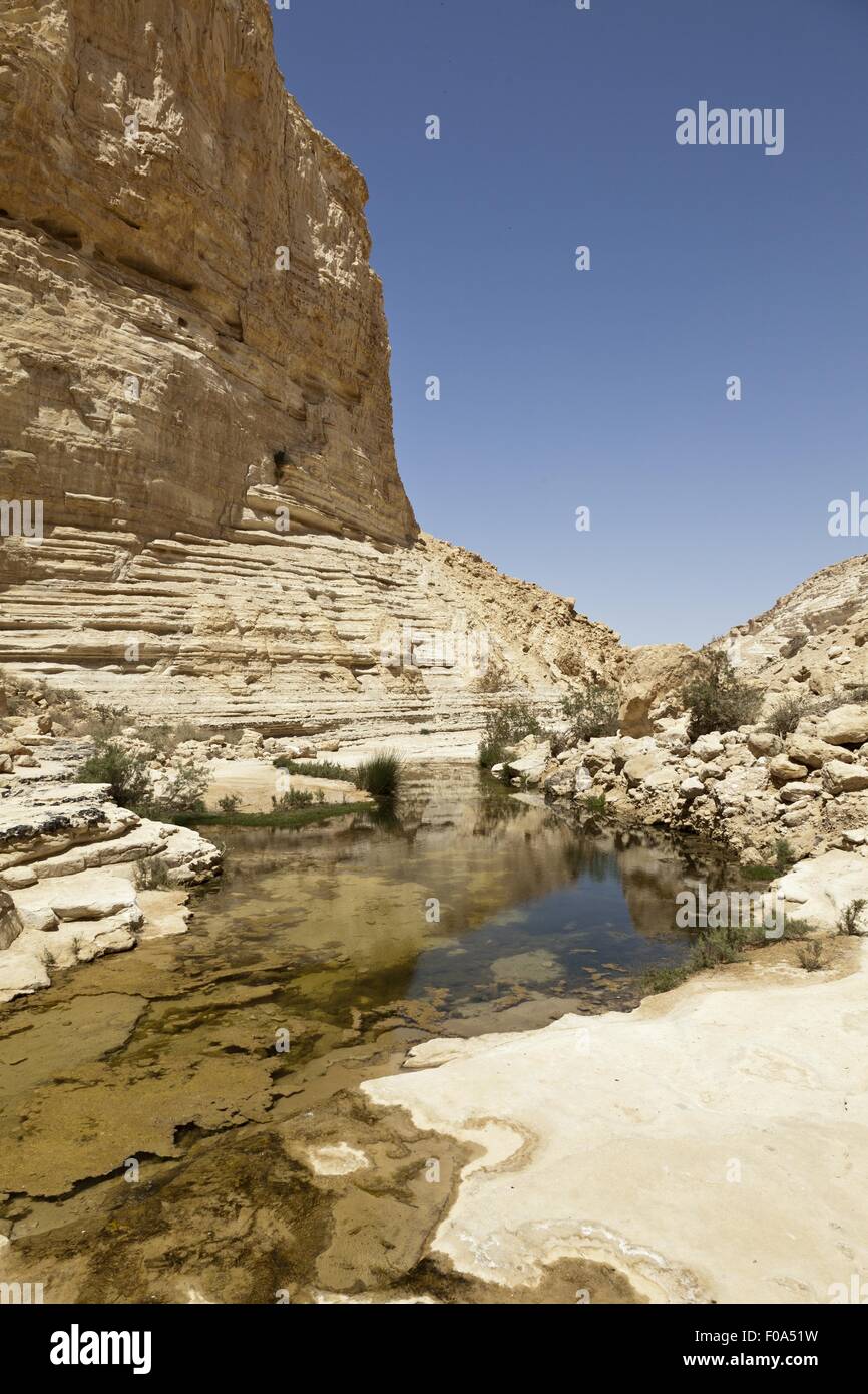 View of Ein Avdat and still water at En Avdat National Park, Negev ...