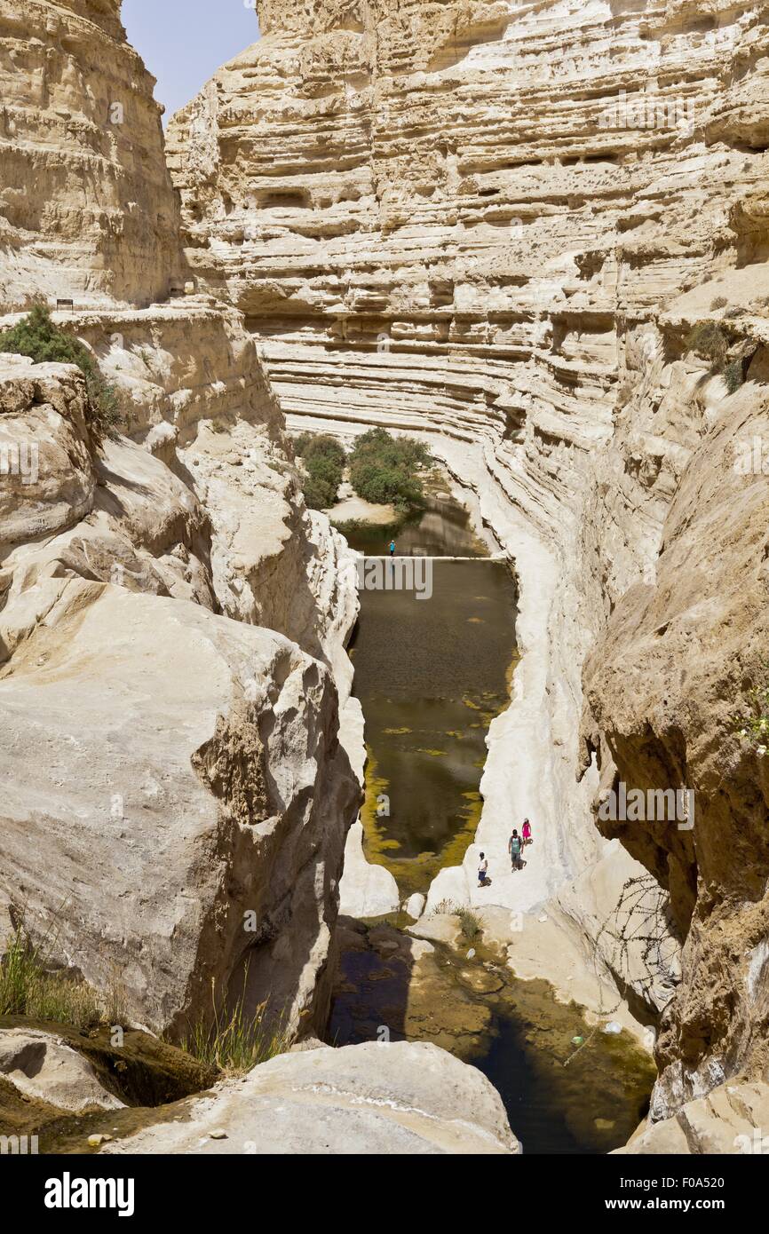 View of people at Ein Avdat and still water in En Avdat National Park ...