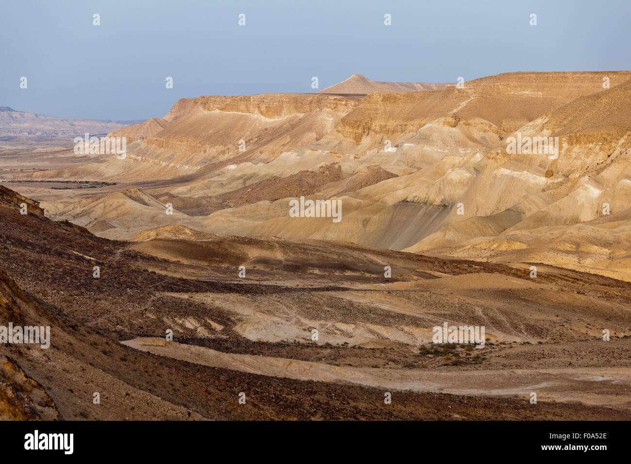 Negeb hi-res stock photography and images - Alamy