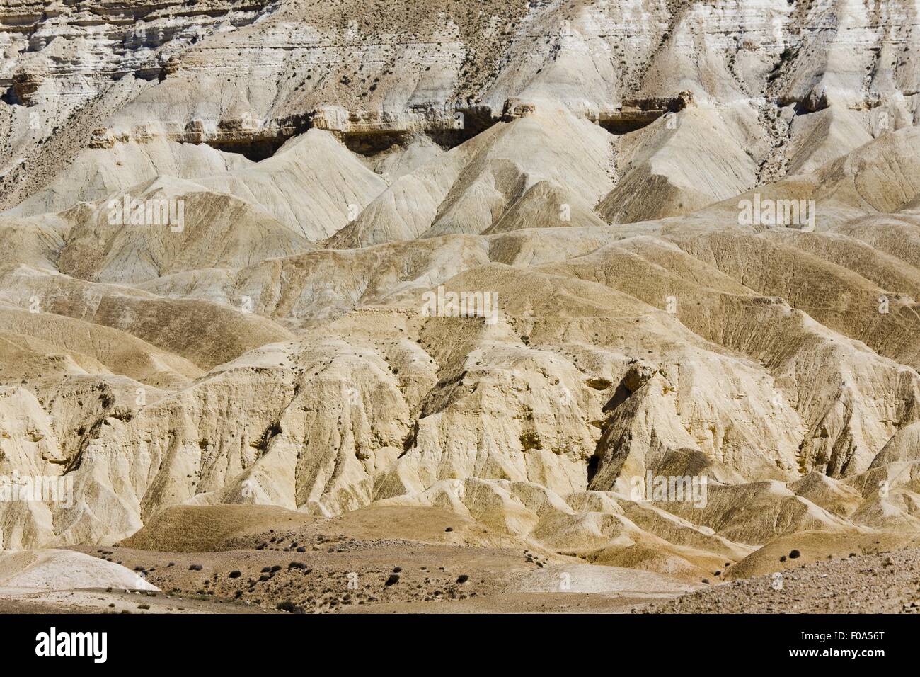 View of stone desert, Wadi Hawarim, Negev Desert, Israel Stock Photo ...