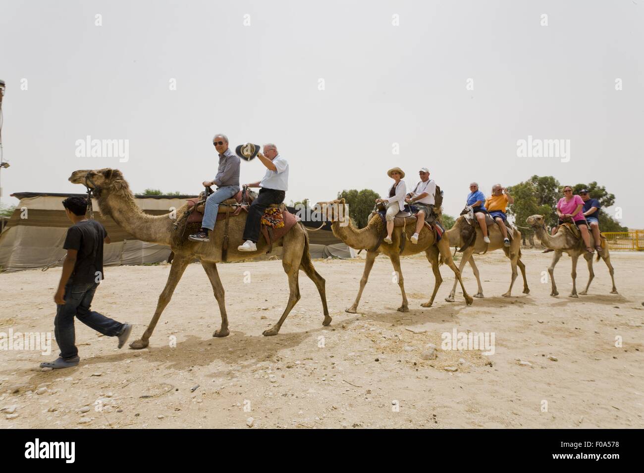 Camel riding israel hi-res stock photography and images - Alamy