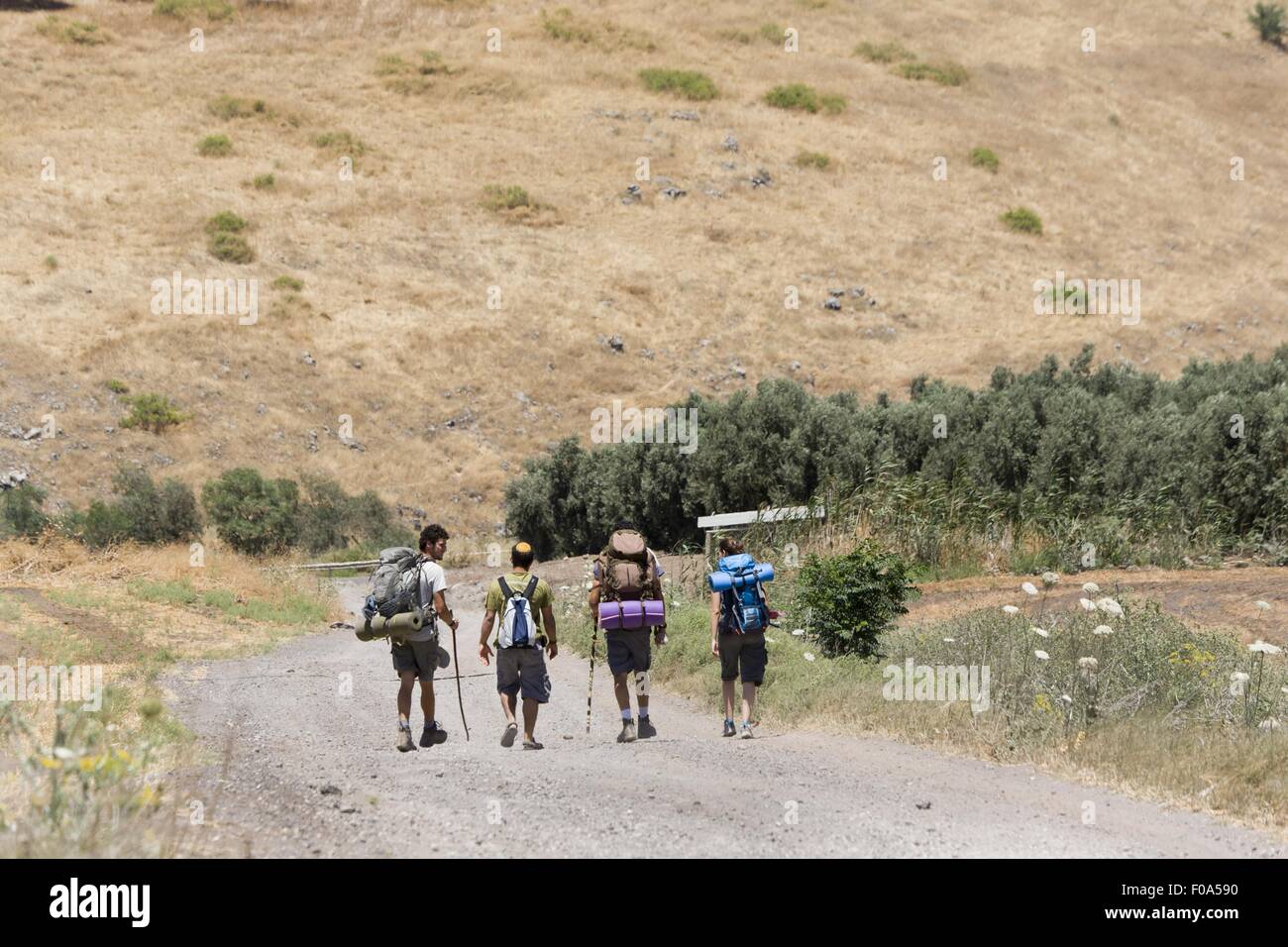Pilgrims walking on road to Jesus Trail near Mount Arbel, Capernaum ...