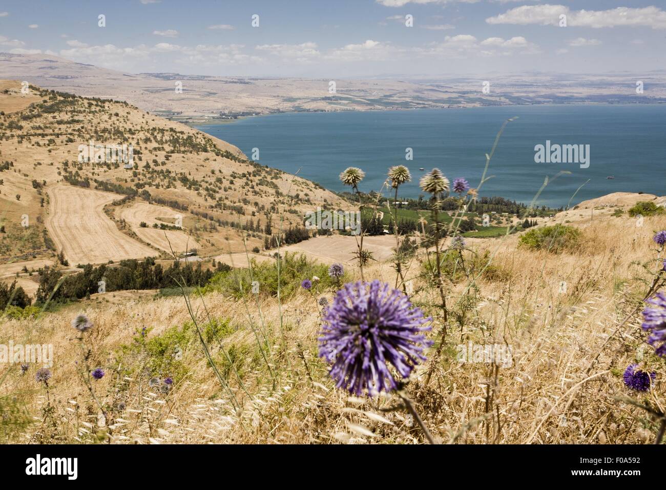 View of Jesus Trail and sea at Capernaum, Galilee, Israel Stock Photo ...
