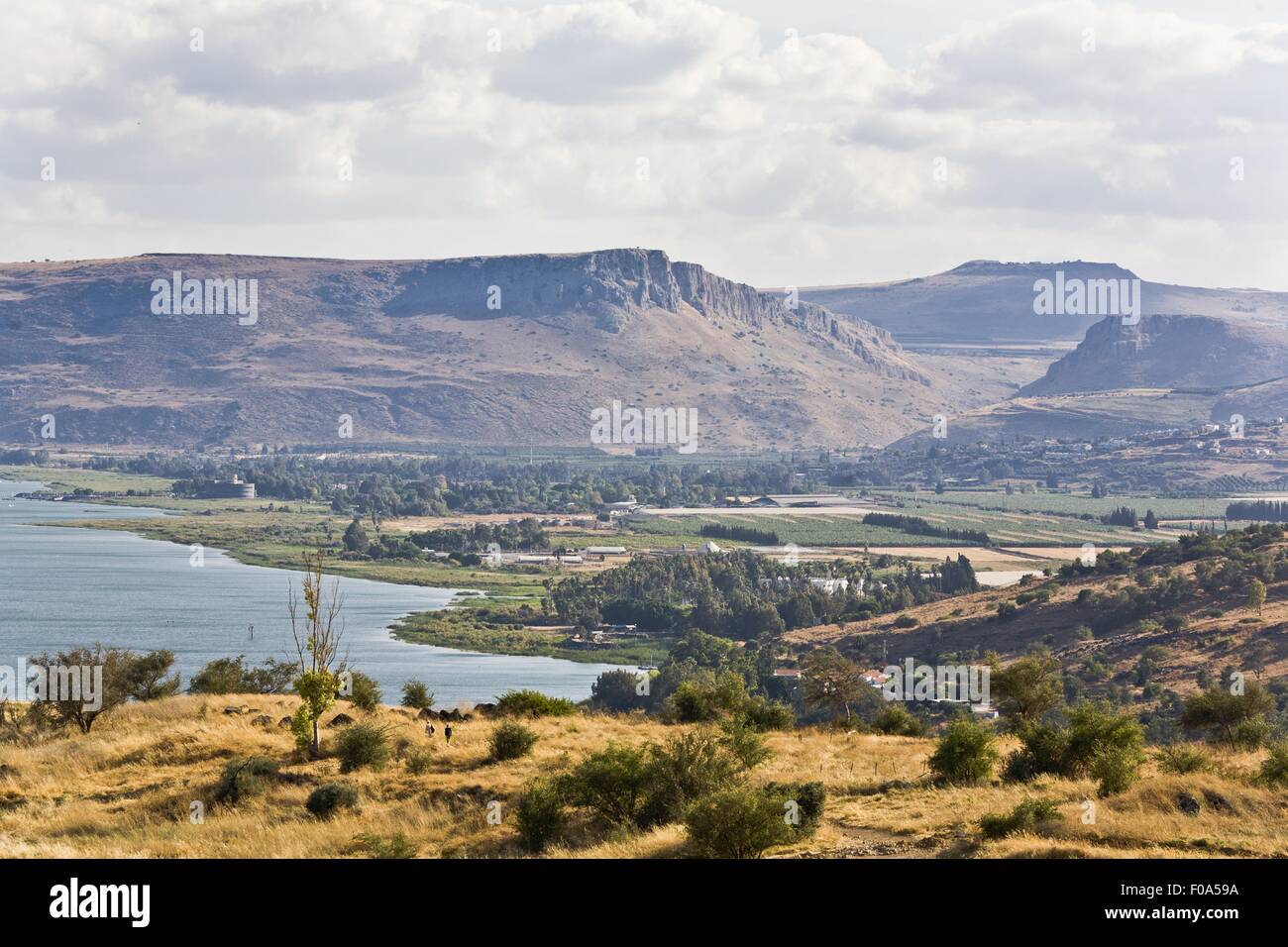View of Mount Arbel and Jesus Trail in Galilee, Israel Stock Photo - Alamy