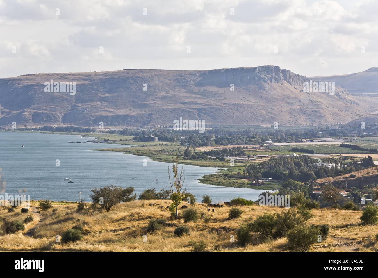View of Mount Arbel and Jesus Trail in Galilee, Israel Stock Photo - Alamy