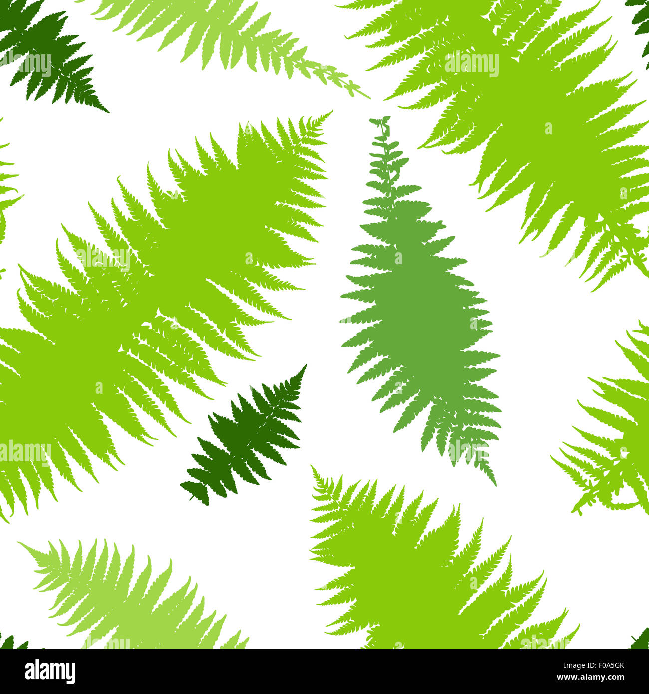 Fern seamless pattern Stock Photo - Alamy