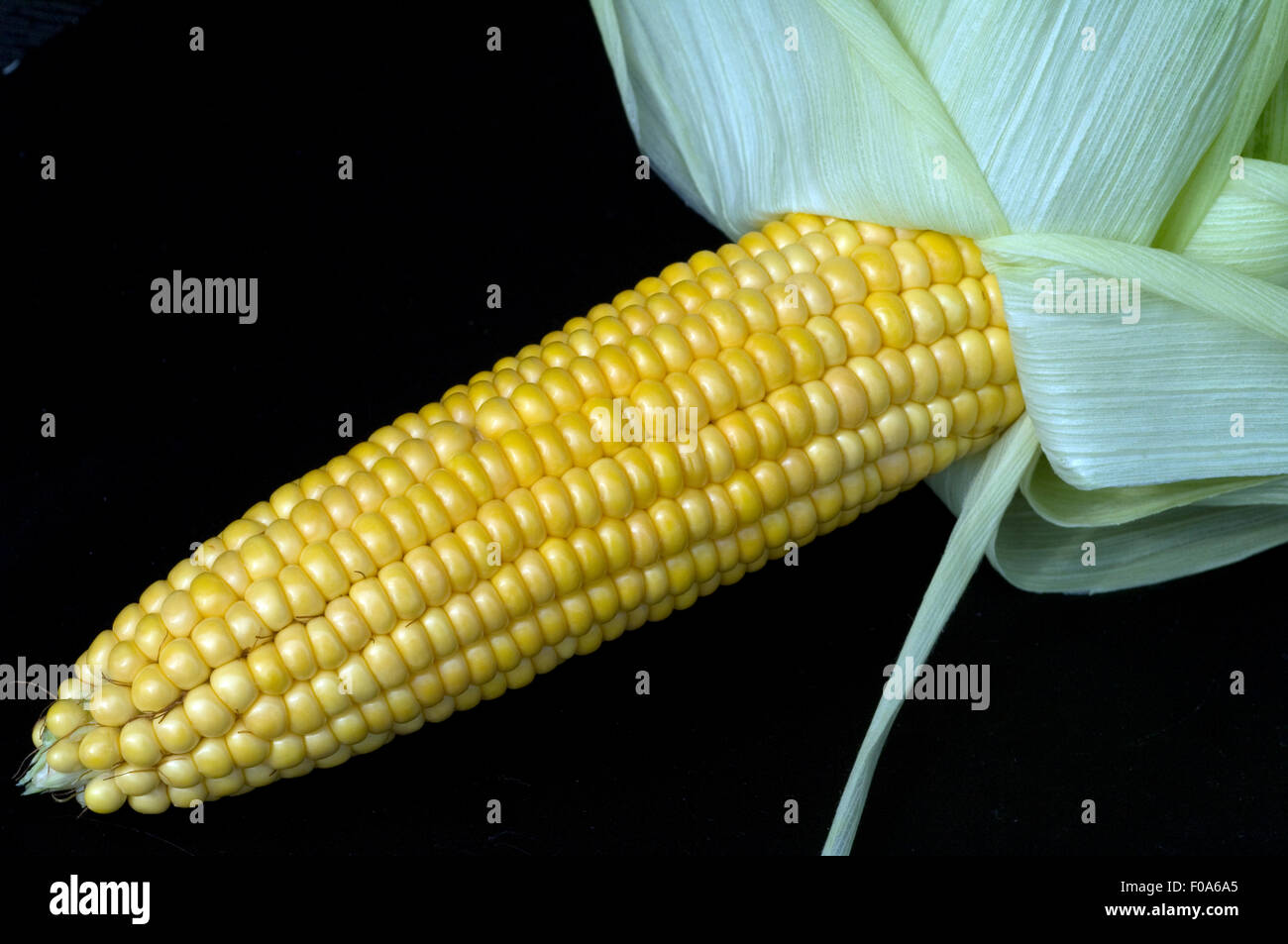 Mais schwarz hi-res stock photography and images - Alamy