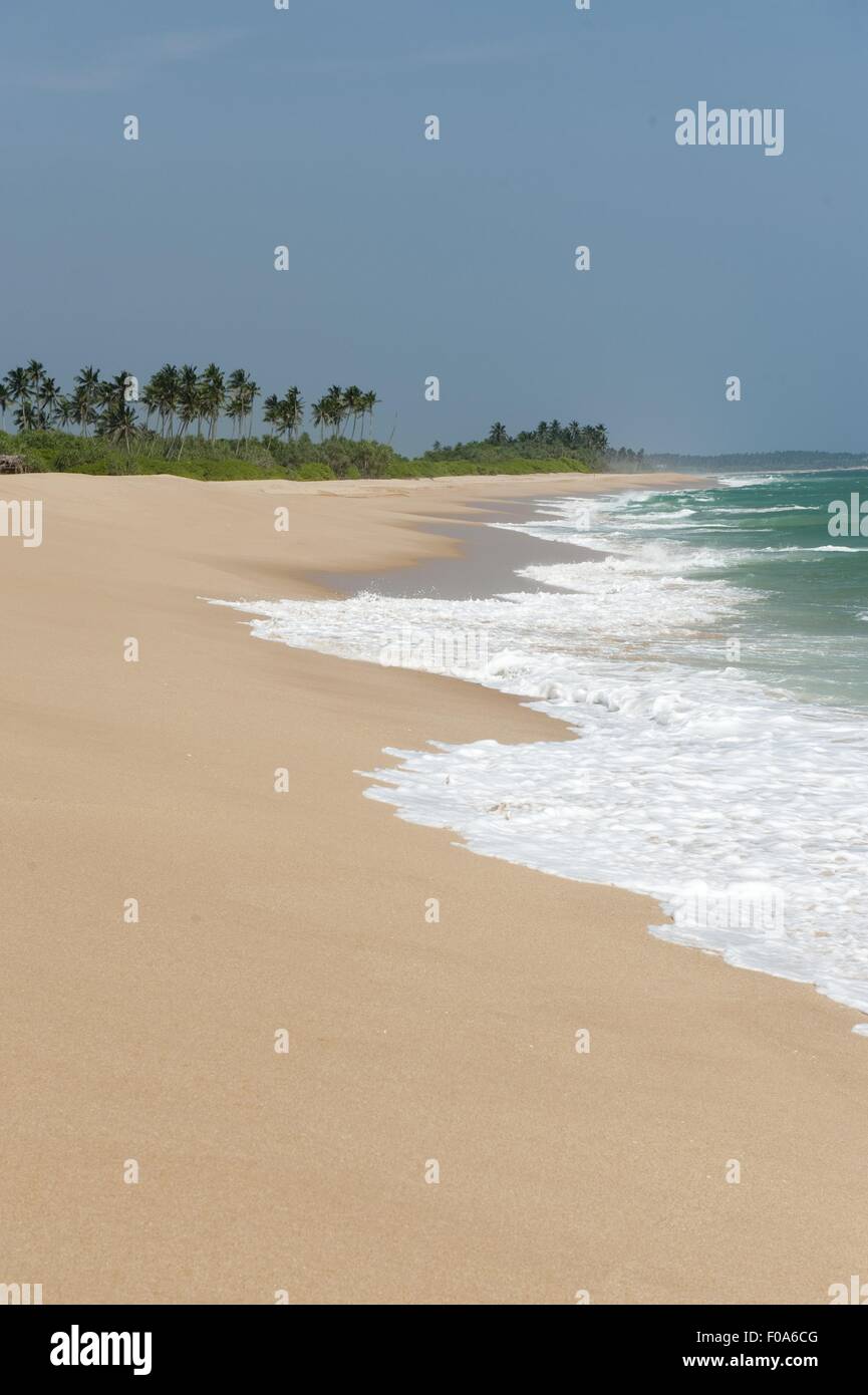 View of Tangalle beach, Sri Lanka Stock Photo - Alamy