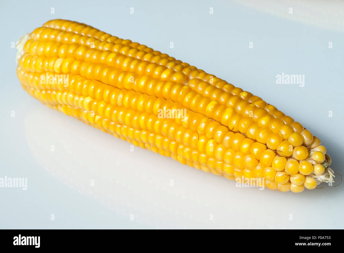 Mais; Zea mays; Maiskoerner Stock Photo - Alamy