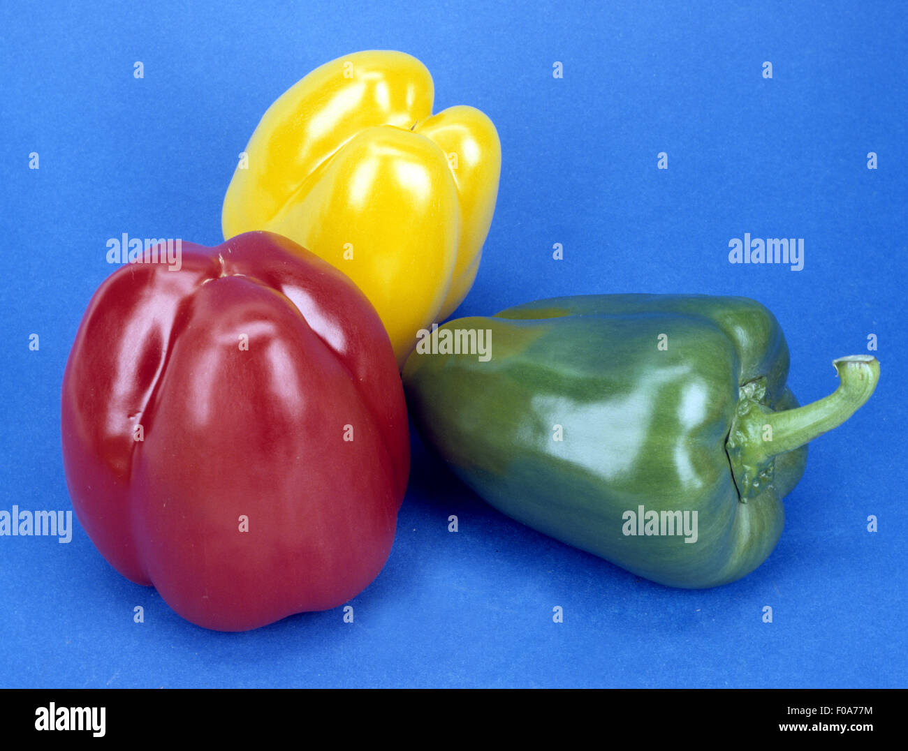 Paprika, Capsicum annuum Stock Photo - Alamy