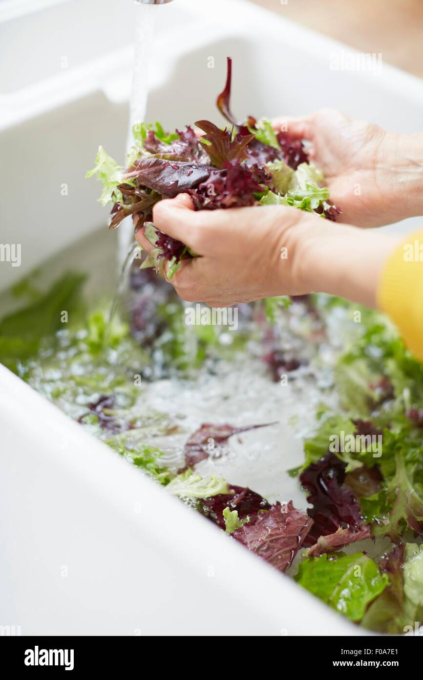 Woman washing vegetable in kitchen sink Stock Photo - Alamy