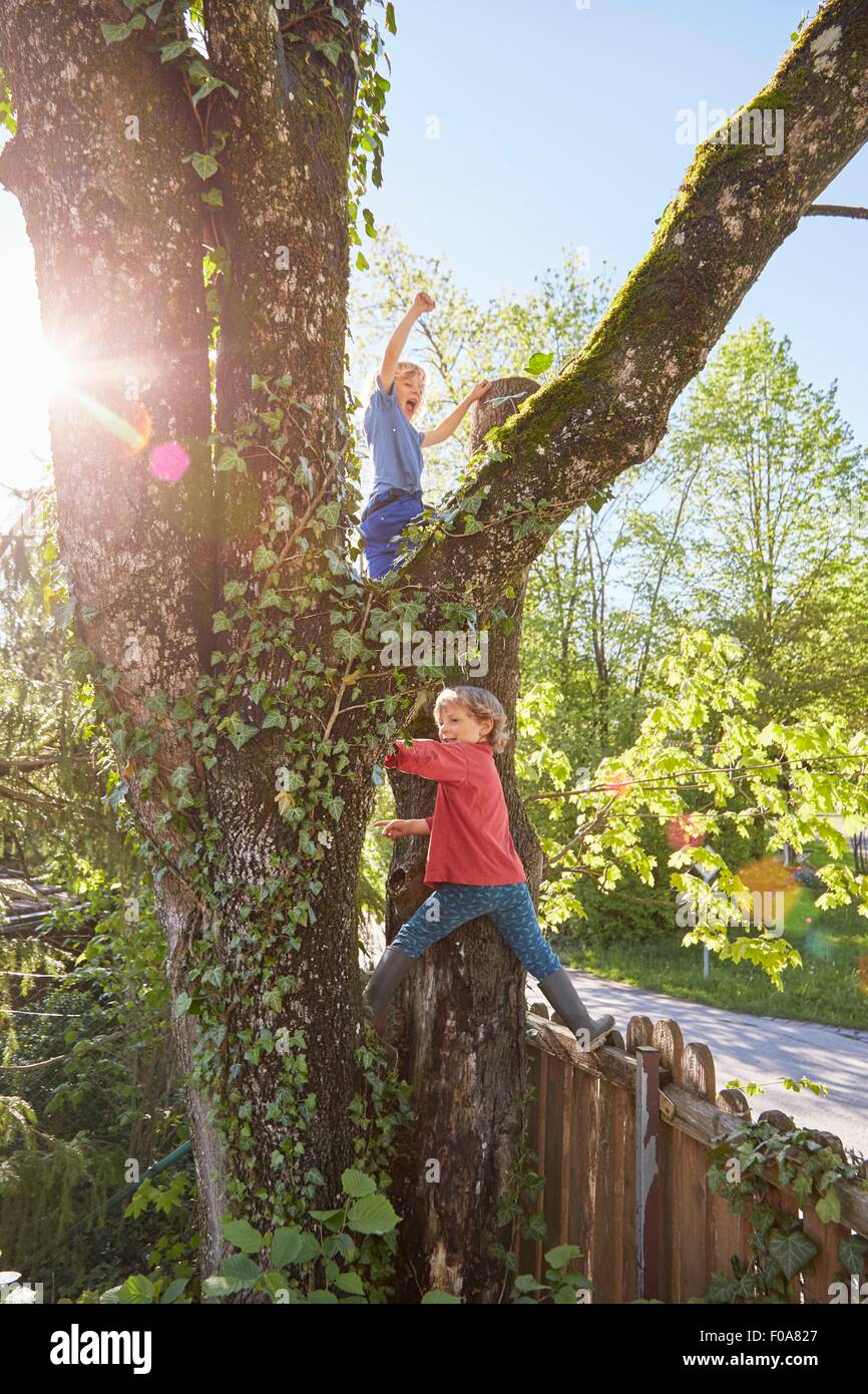 Two young boys climbing tree Stock Photo - Alamy