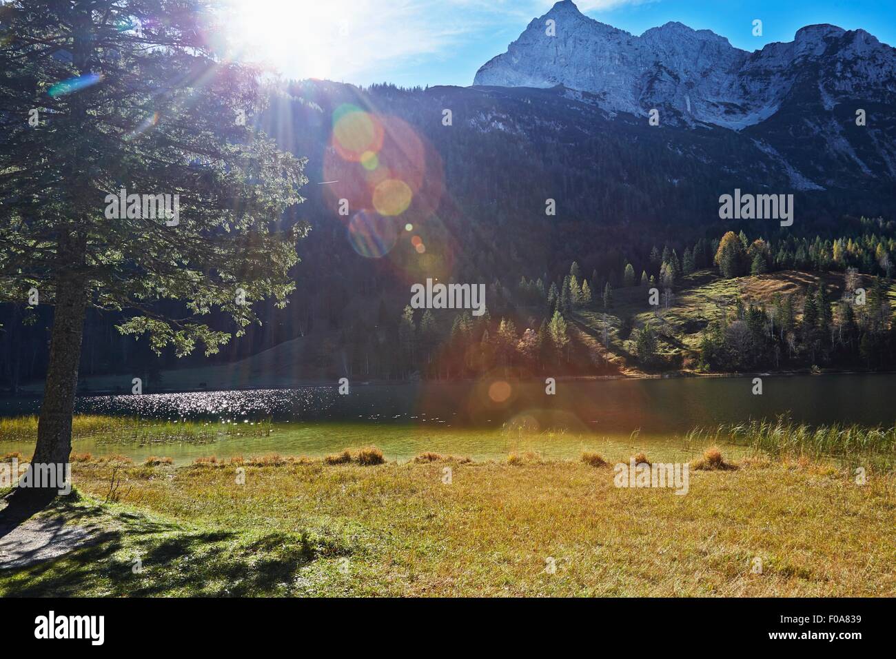 Scenic view, Ehrwald, Tyrol, Austria Stock Photo - Alamy
