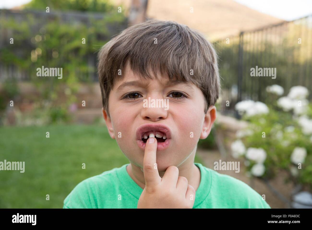 Child Tooth Anatomy High Resolution Stock Photography and Images - Alamy