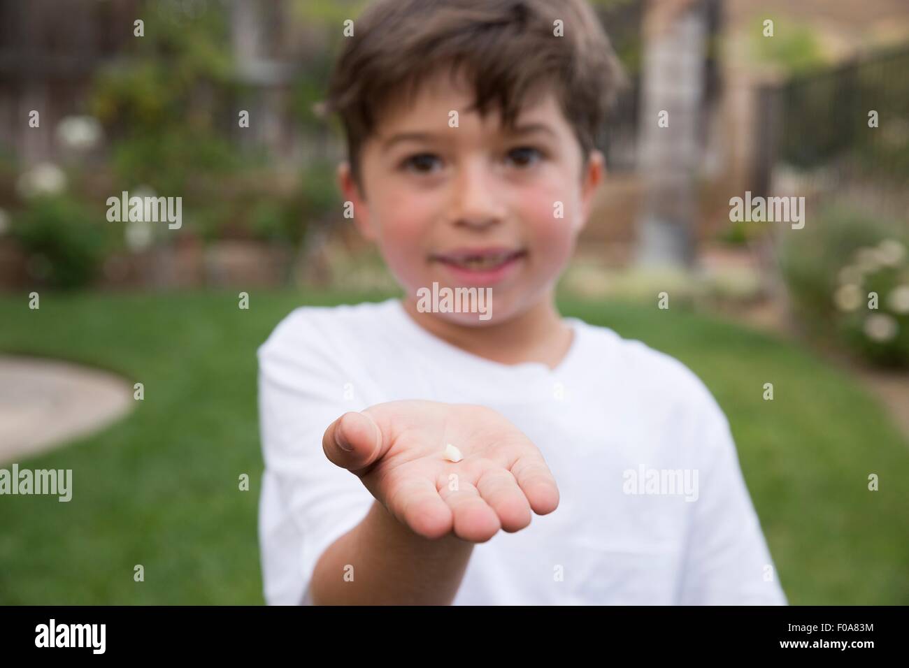 Child tooth anatomy hi-res stock photography and images - Alamy