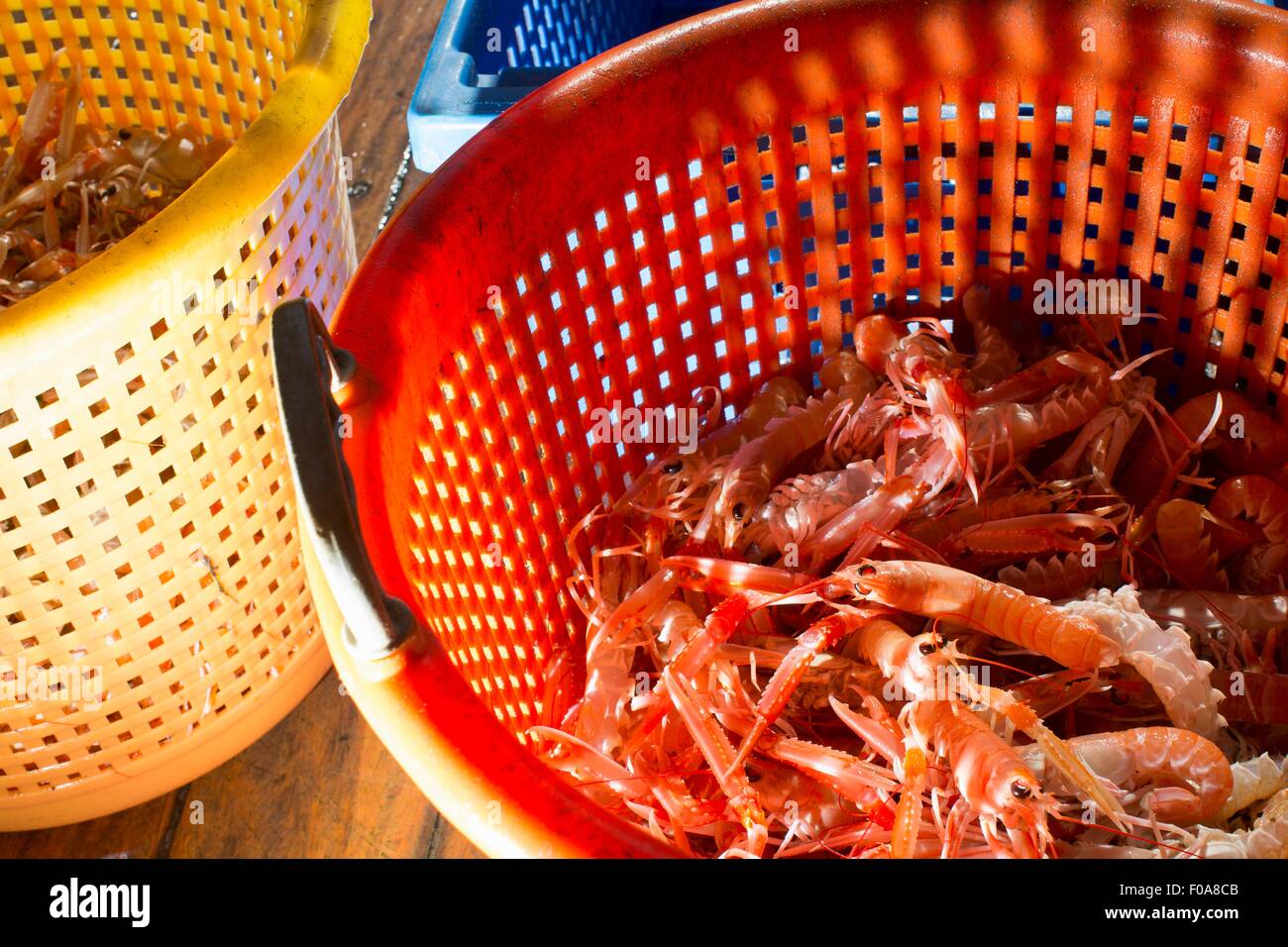 Shellfish baskets hi-res stock photography and images - Alamy