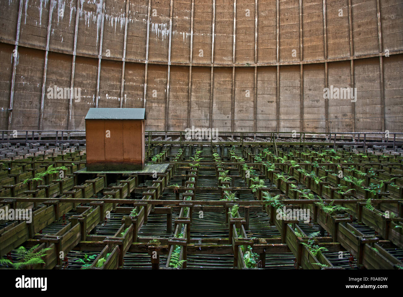 Inside a cooling tower on the outskirts of Charleroi, Belgium Stock ...