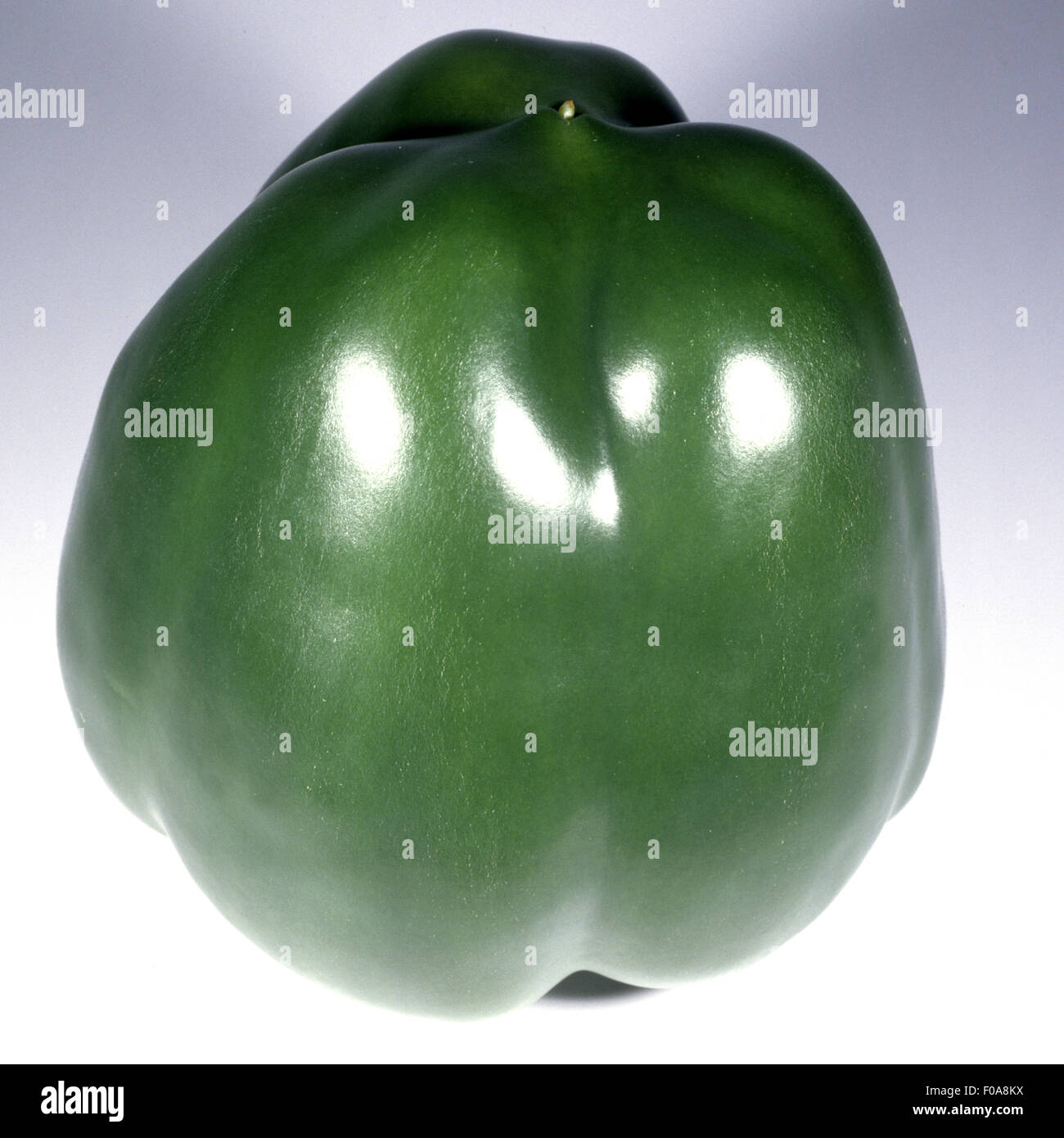 Paprika, Capsicum annuum Stock Photo - Alamy