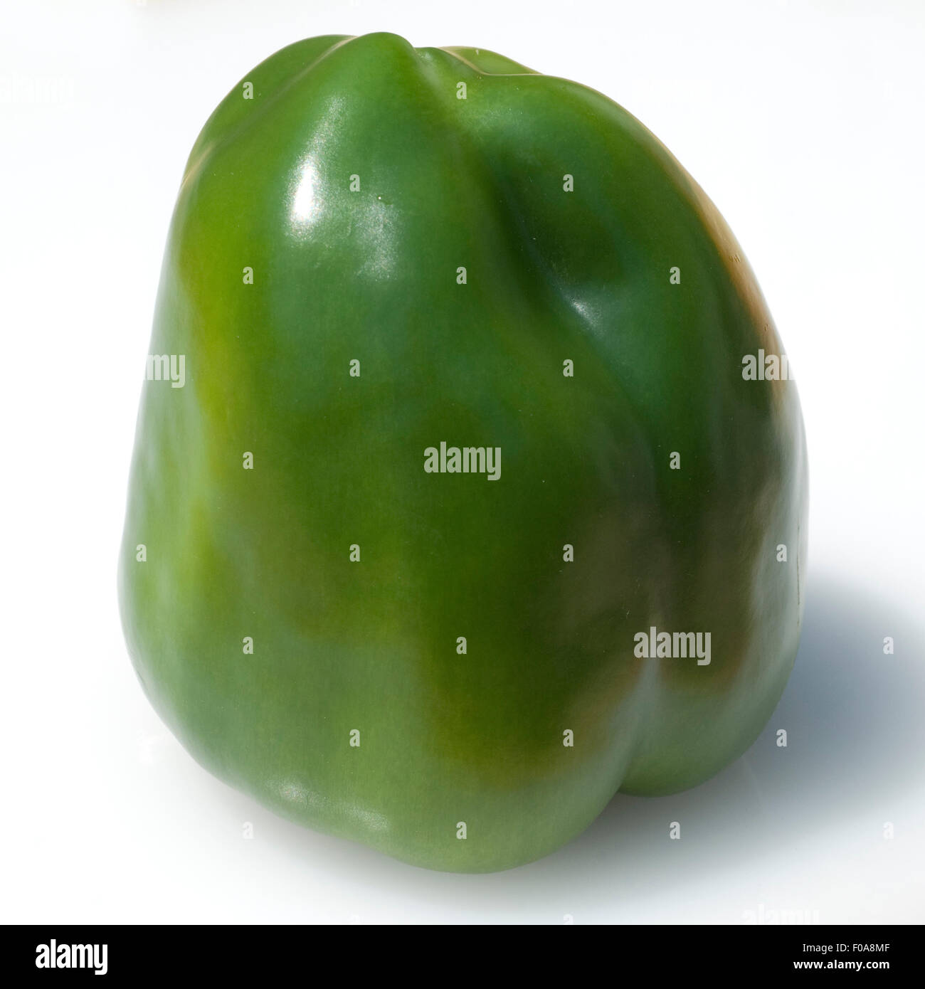 Paprika; Capsicum; annuum Stock Photo - Alamy