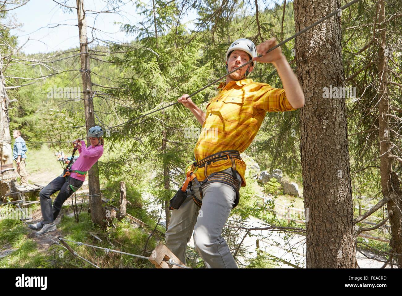 Climbers on rope in forest, Ehrwald, Tyrol, Austria Stock Photo - Alamy
