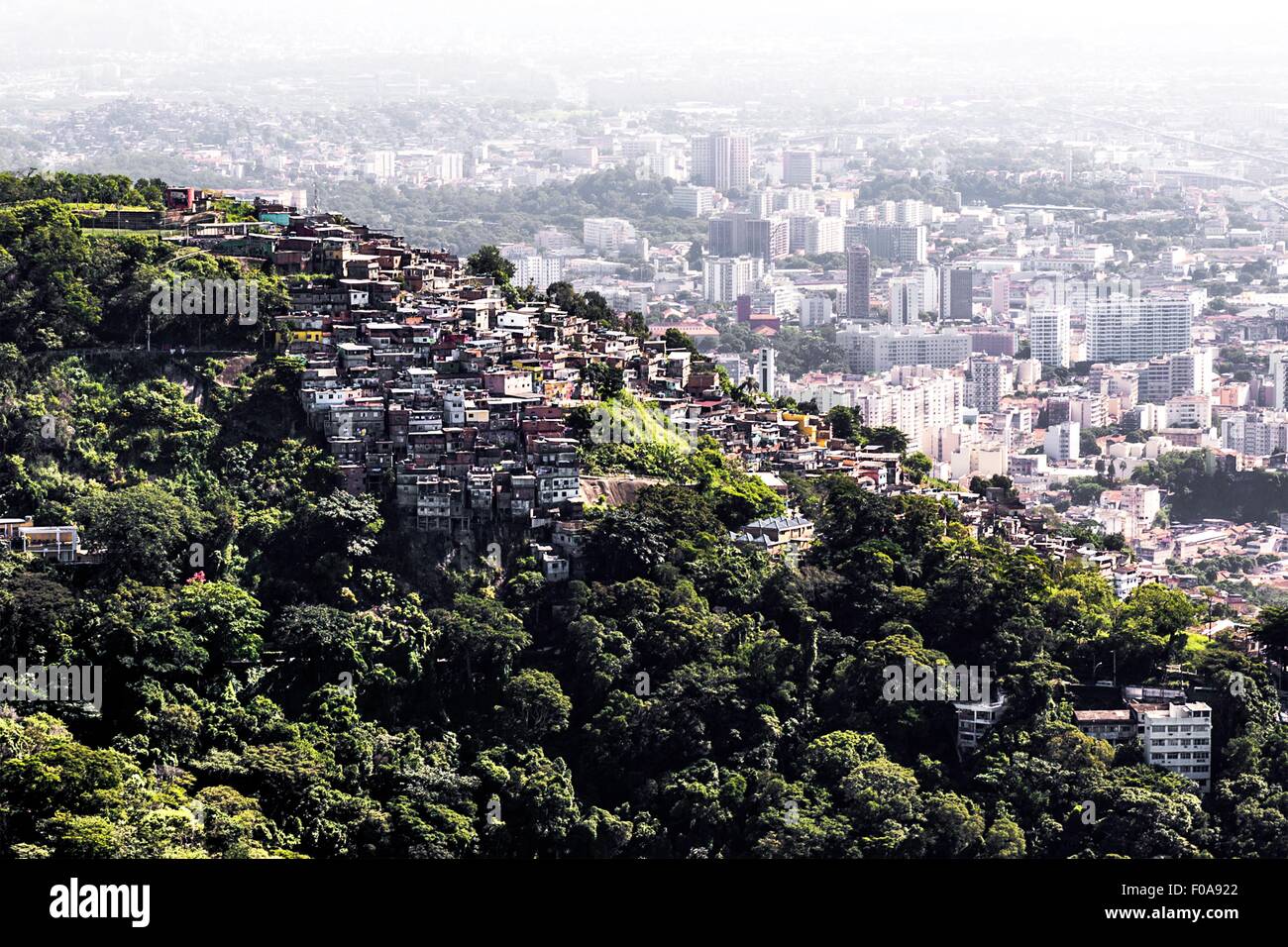 Rio de janeiro forest hi-res stock photography and images - Alamy