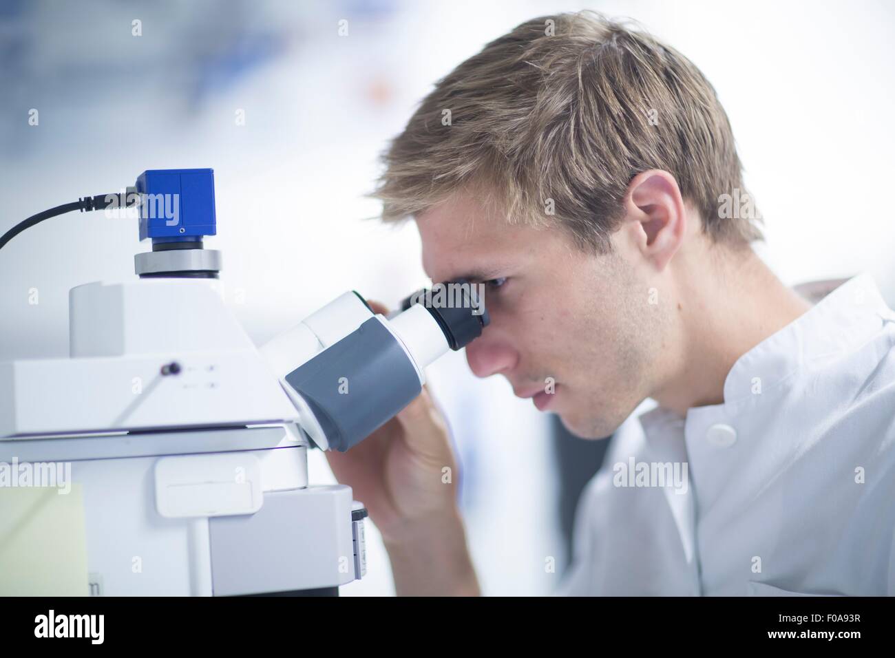 Male scientist using microscope in laboratory Stock Photo - Alamy