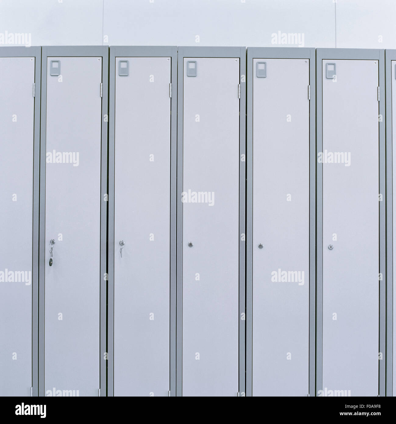 Detail of lockers in laboratory Stock Photo - Alamy