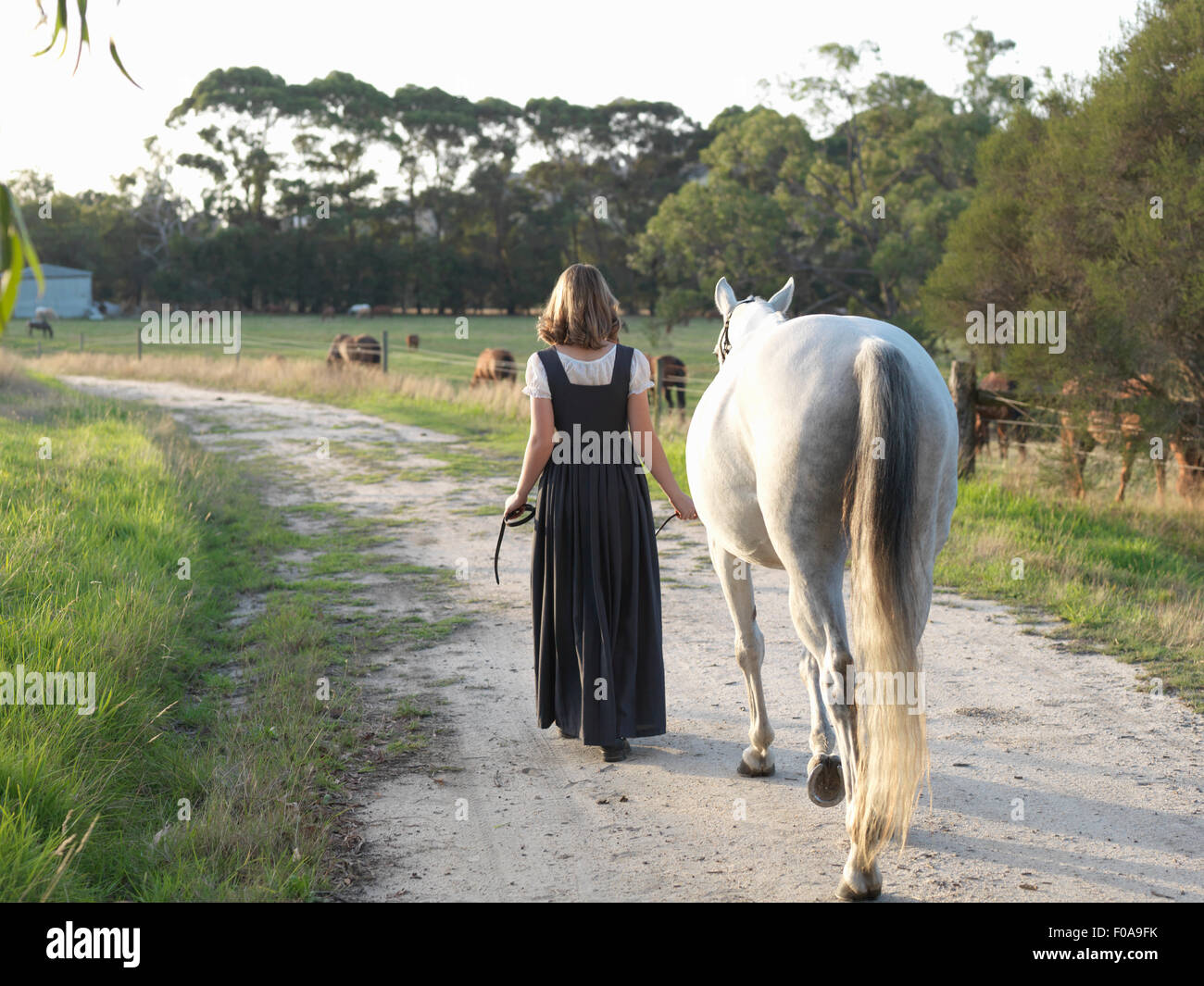 Girl leading horse hi-res stock photography and images - Alamy