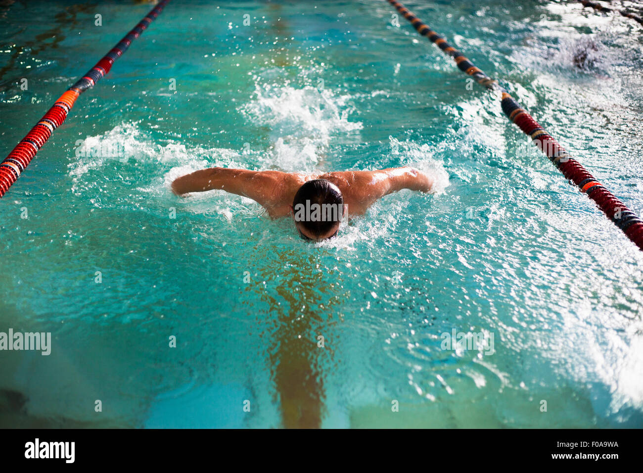 Butterfly stroke hi-res stock photography and images - Alamy