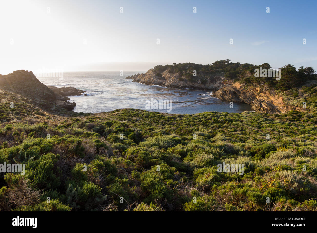 protected cove in the California coast lit by the setting sun for ...