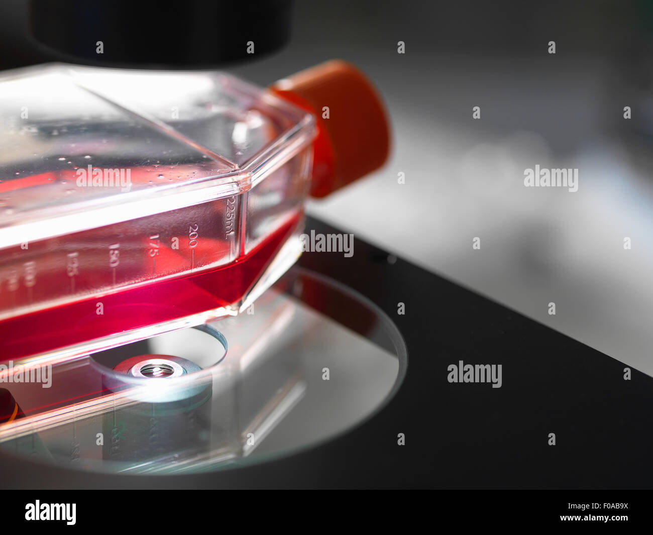 Inverted microscope hi-res stock photography and images - Alamy