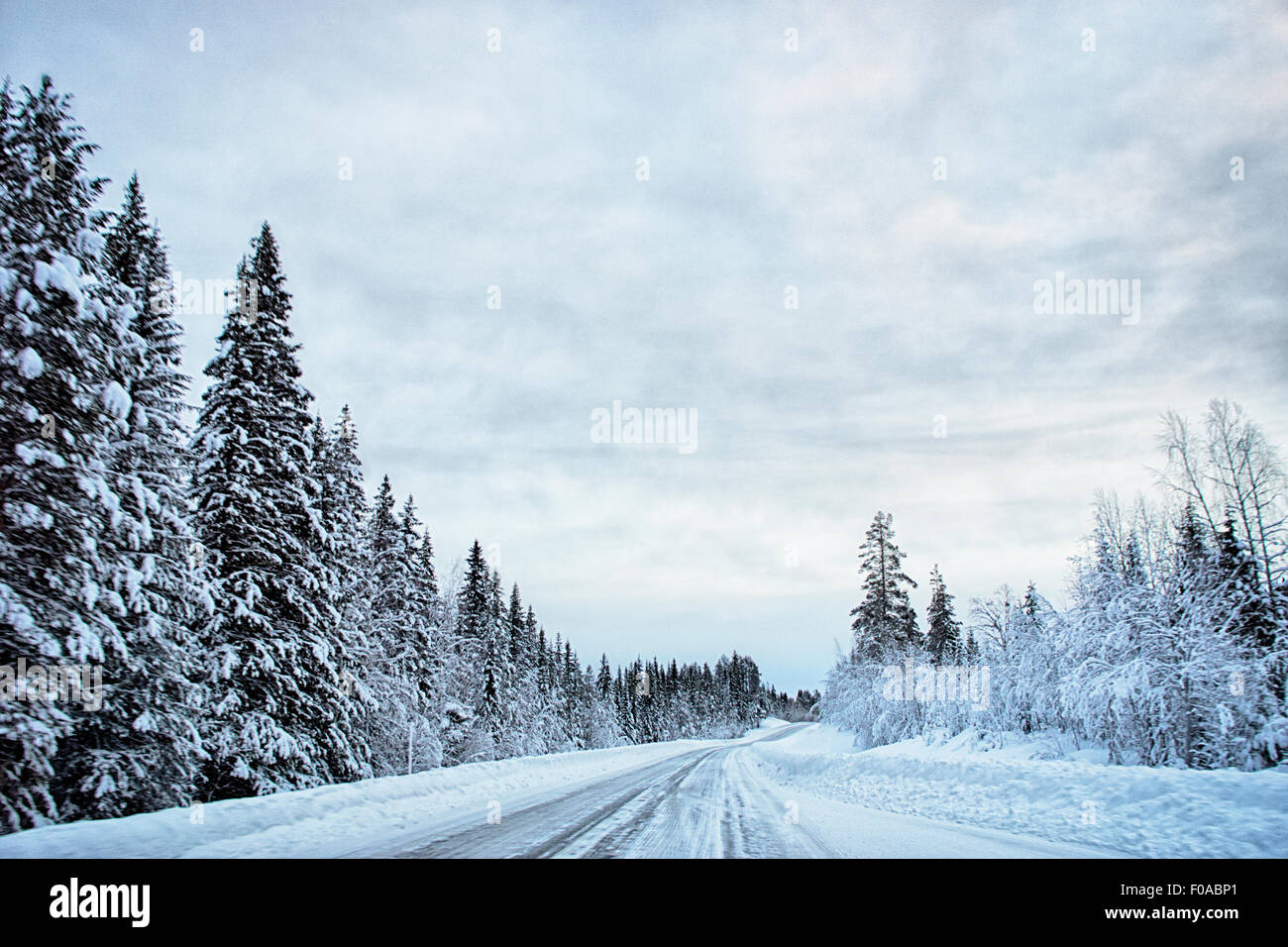 View of snow covered trees and highway, Hemavan, Sweden Stock Photo - Alamy