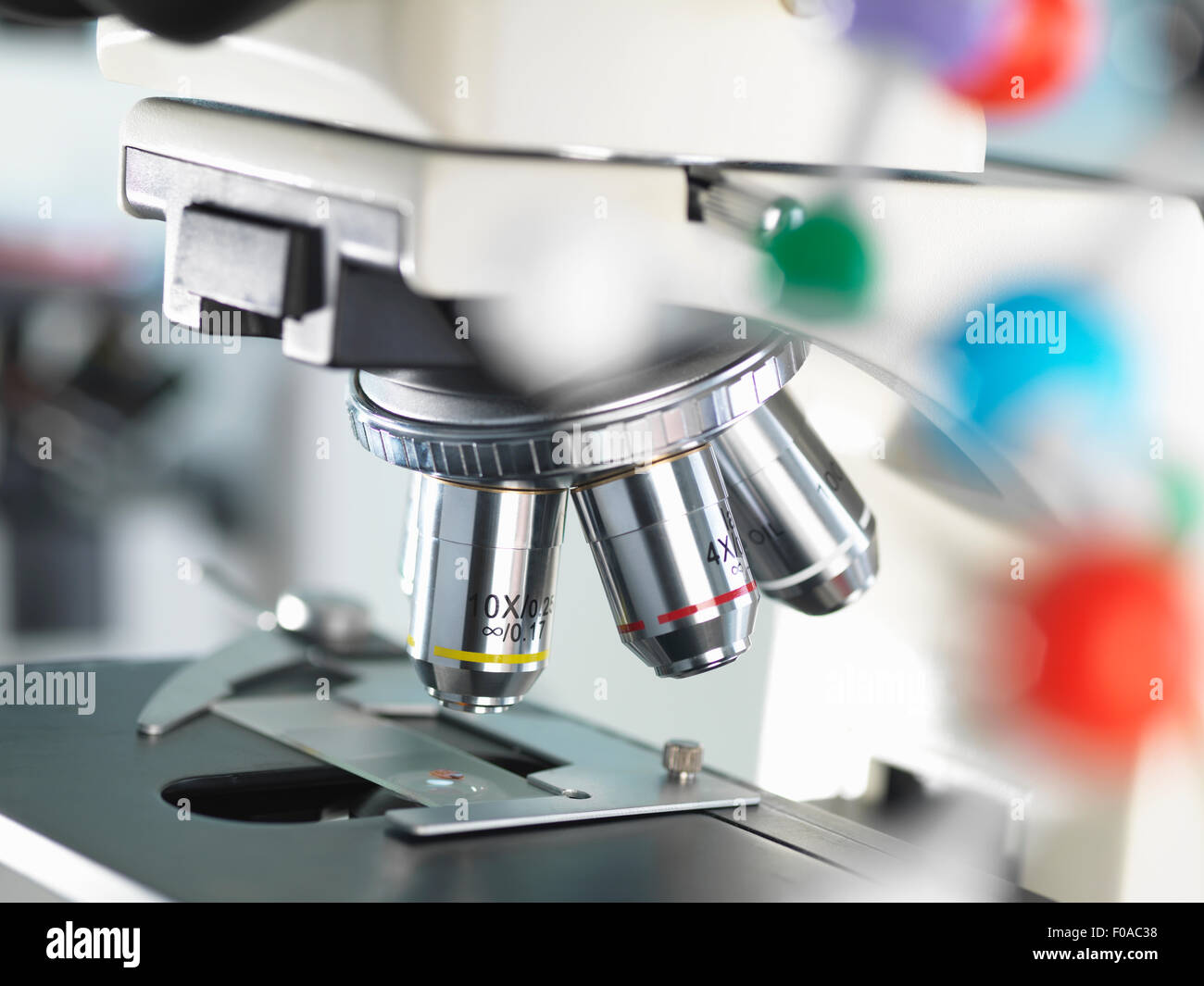 Microscope Viewing Images at Elizabeth Ashworth blog