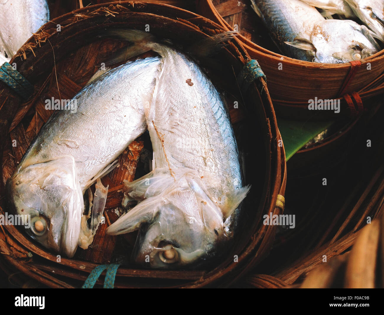Steamed thai mackerel hi-res stock photography and images - Alamy