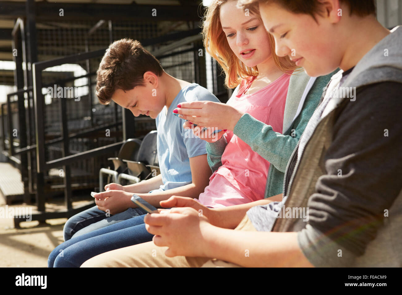 Four boys and girls reading smartphone texts in stadium stand Stock ...