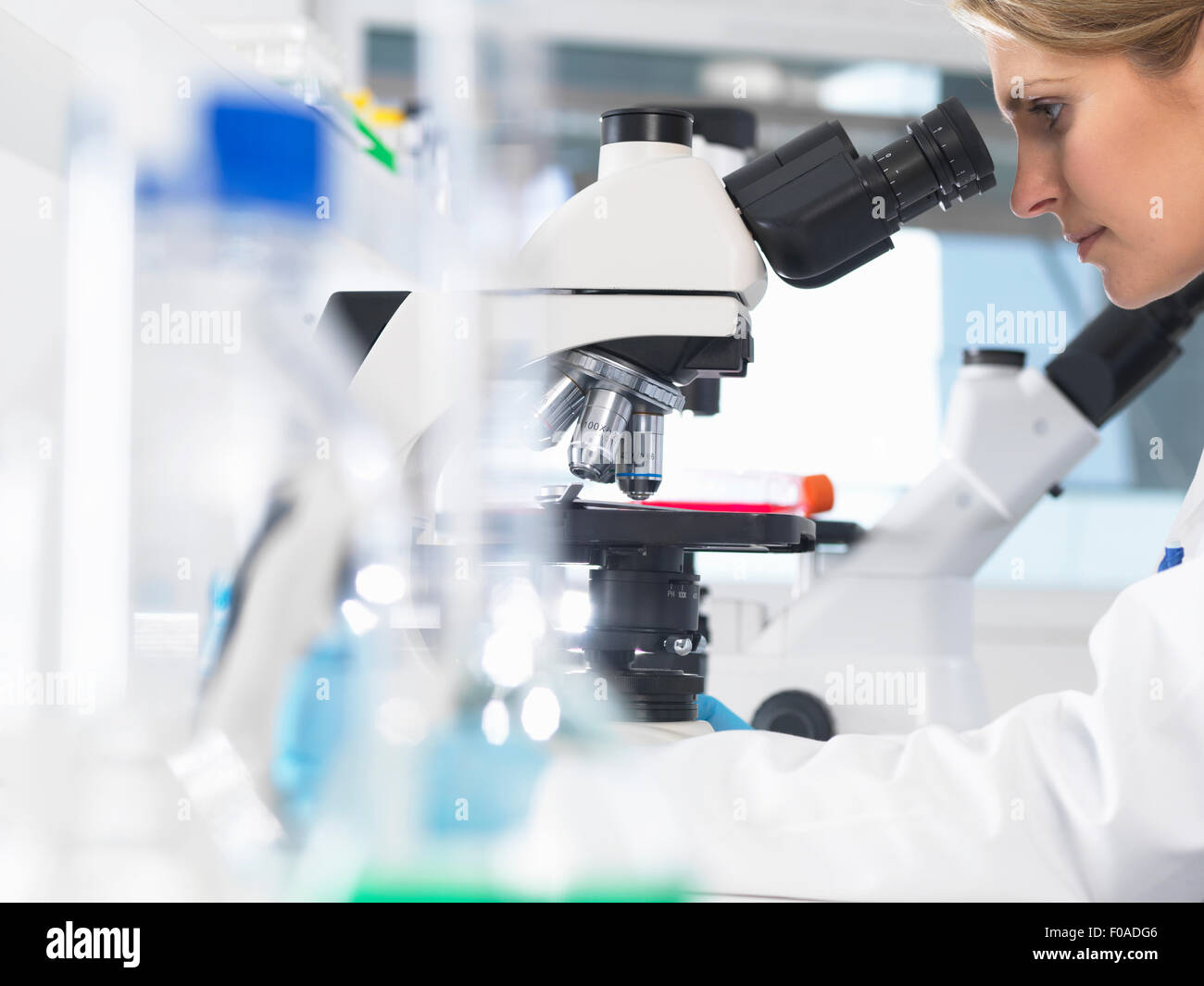 Under a microscope hi-res stock photography and images - Alamy