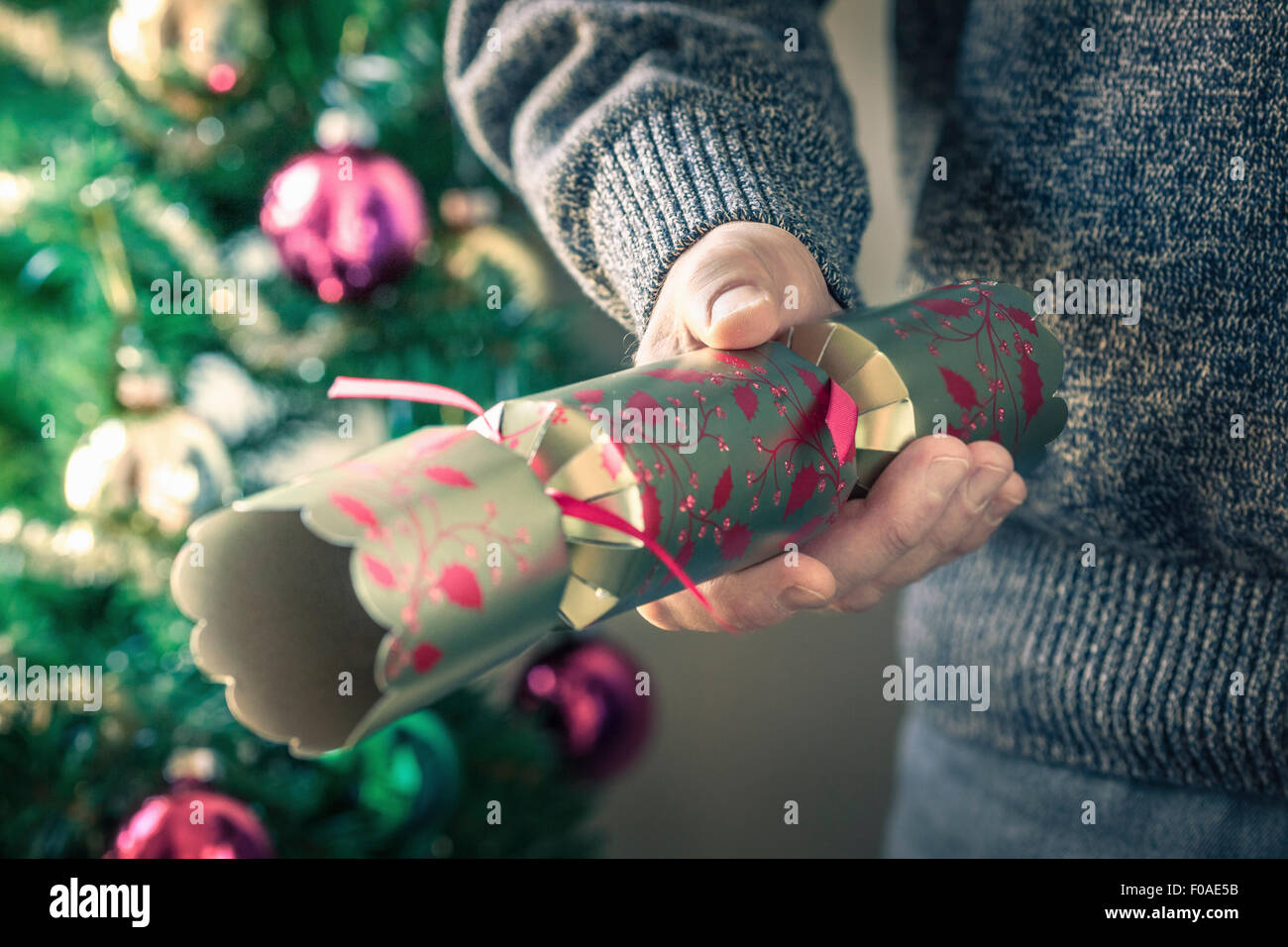 Man Hand Holding Cracker High Resolution Stock Photography and Images ...