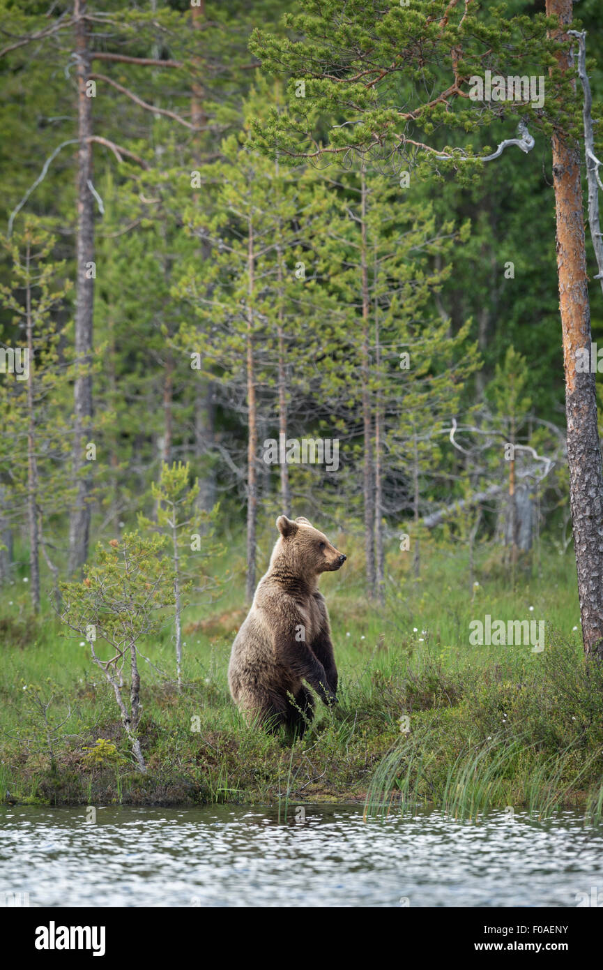 Khumo hi-res stock photography and images - Alamy