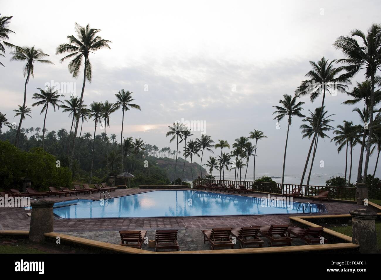 View of pool and palm trees at Barberyn Reef Ayurveda Resort, Weligama ...